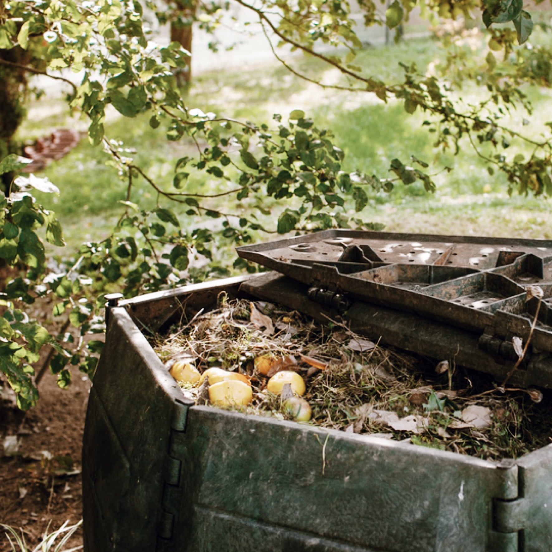 How to Compost your Old Clothes in 6 easy Steps